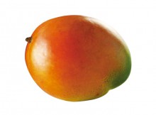Mangoes Australia Keitt - Mangoes Australia
